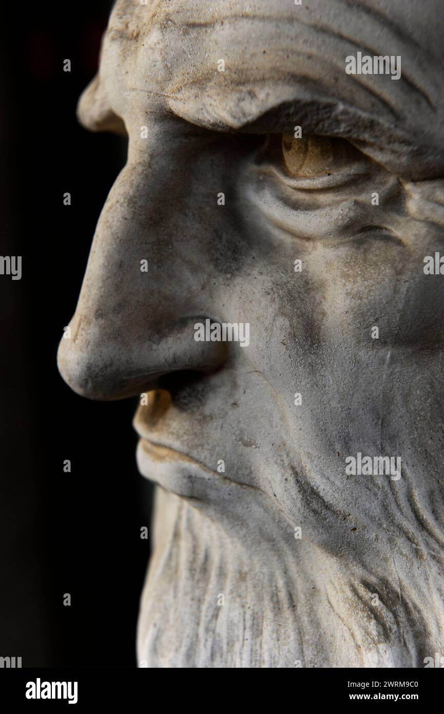 Leonado da vinci eyes hi-res stock photography and images - Alamy