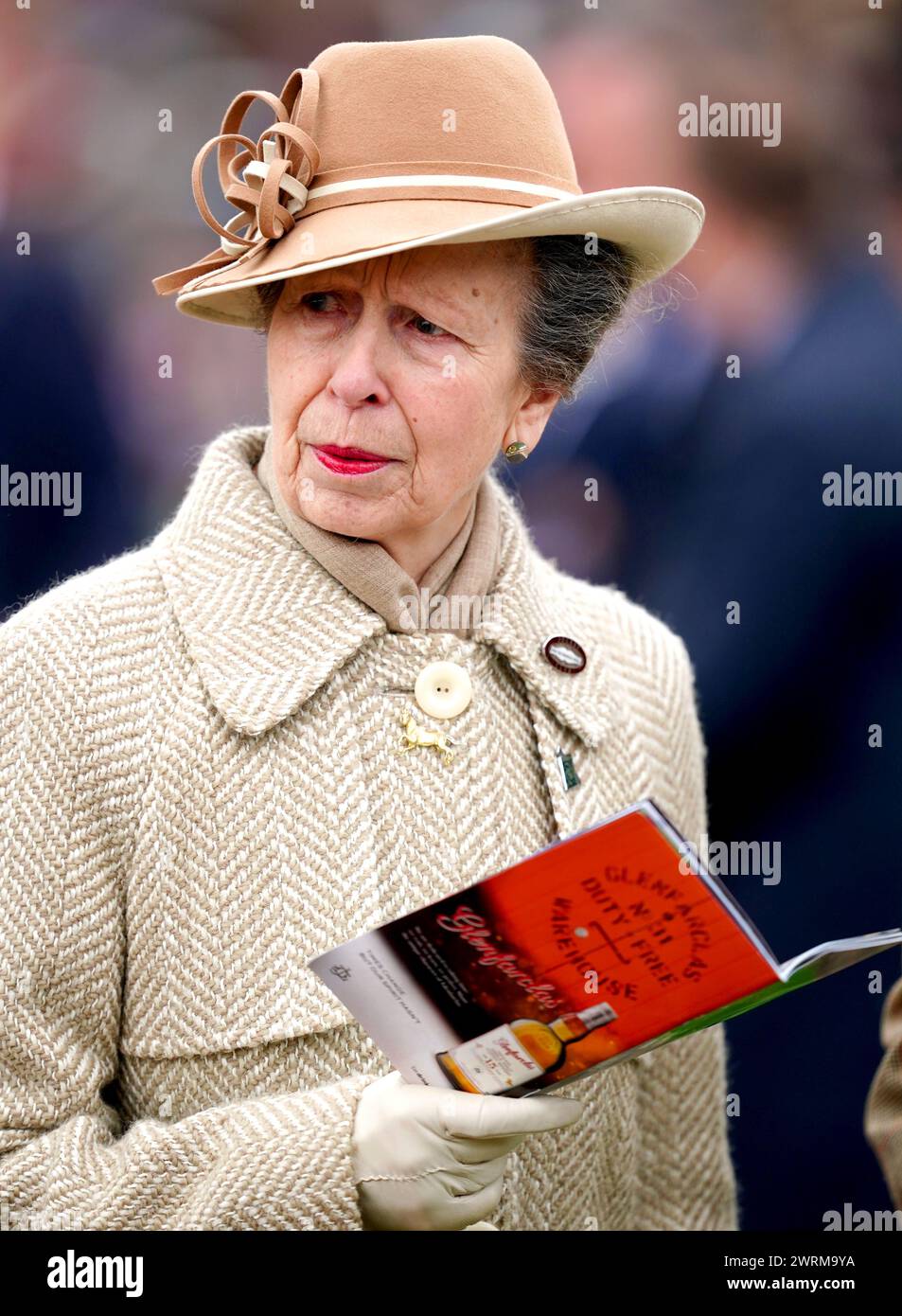 The Princess Royal on day two of the 2024 Cheltenham Festival at ...
