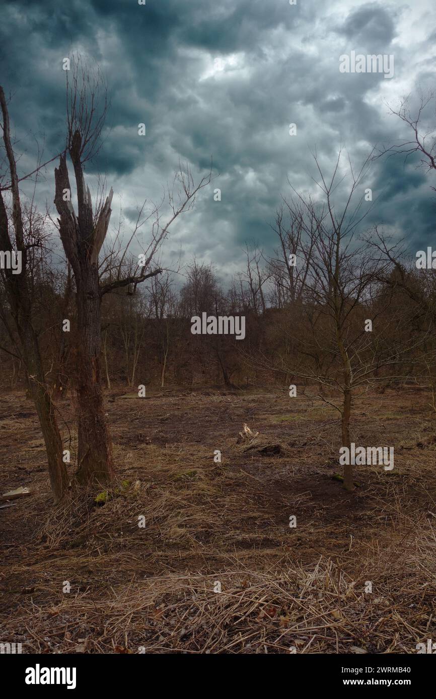nature land destroyed and in abandon, stormy sky above Stock Photo - Alamy