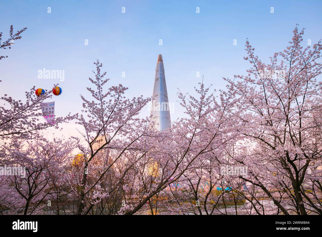 Korea in spring hi-res stock photography and images - Alamy