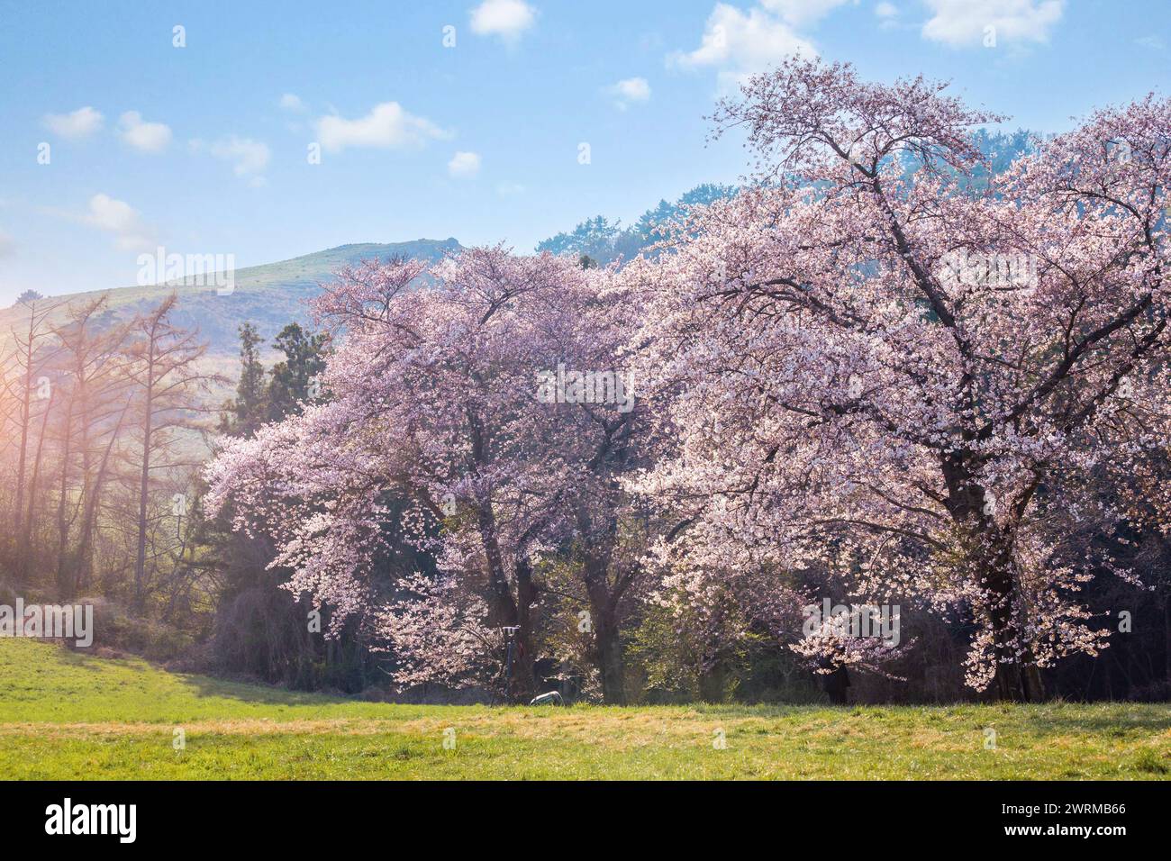 Colorful trees around lake hi-res stock photography and images - Alamy