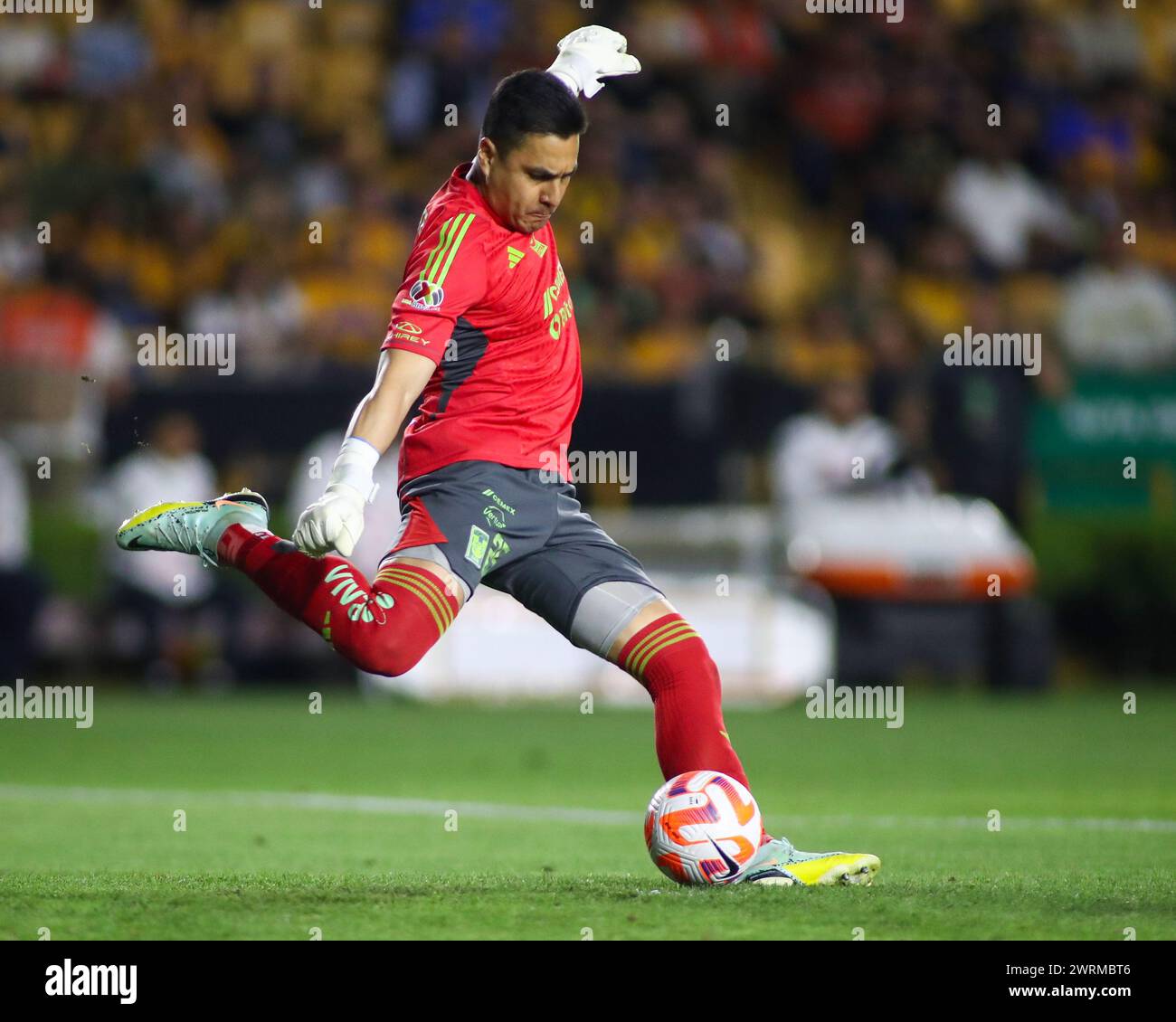 Monterrey, Mexico. 12th Mar, 2024. MONTERREY, MEXICO - MARCH 12TH 2024 ...