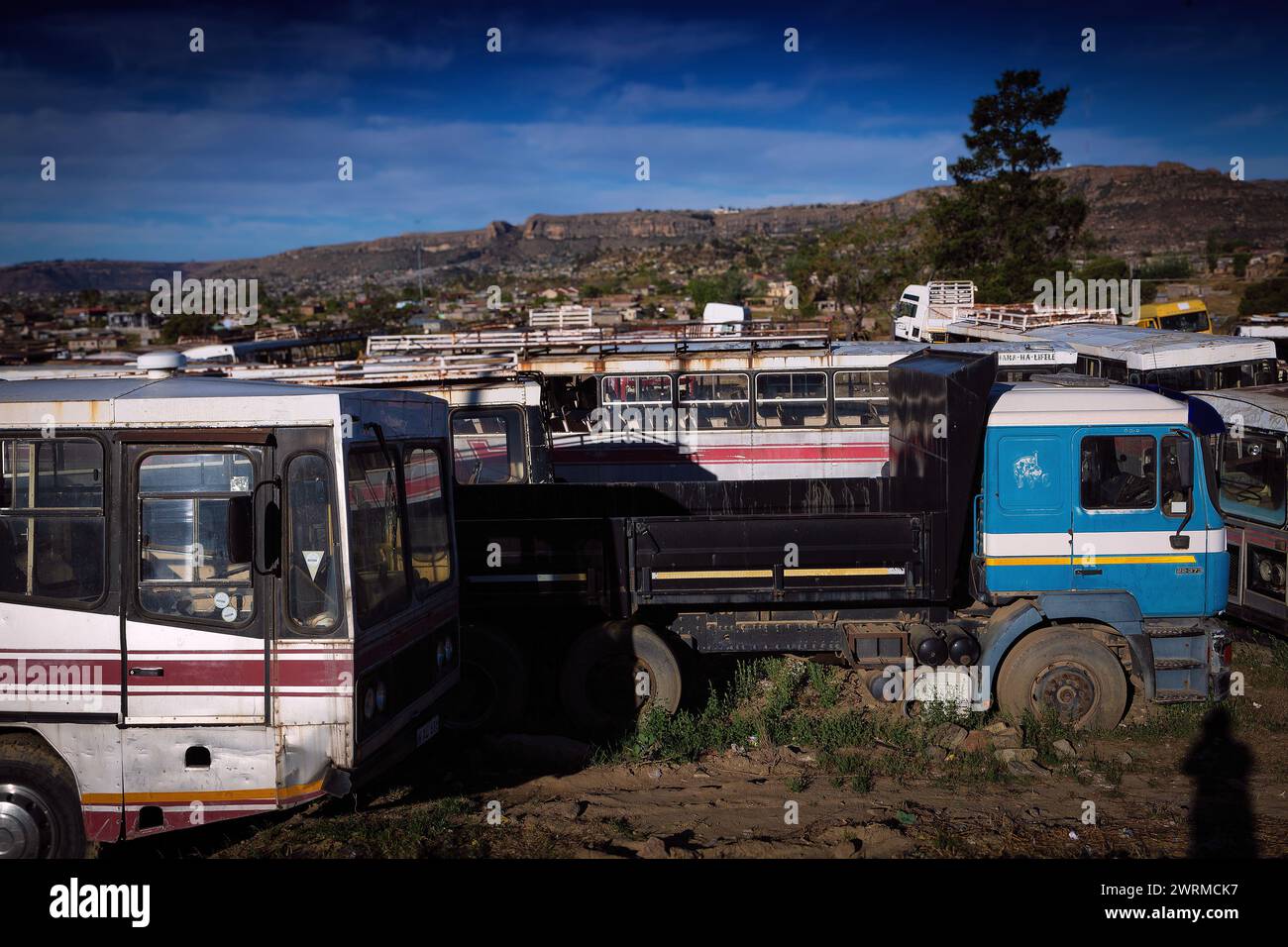 A field of abandoned and rusting trucks, lorries and coaches at a ...