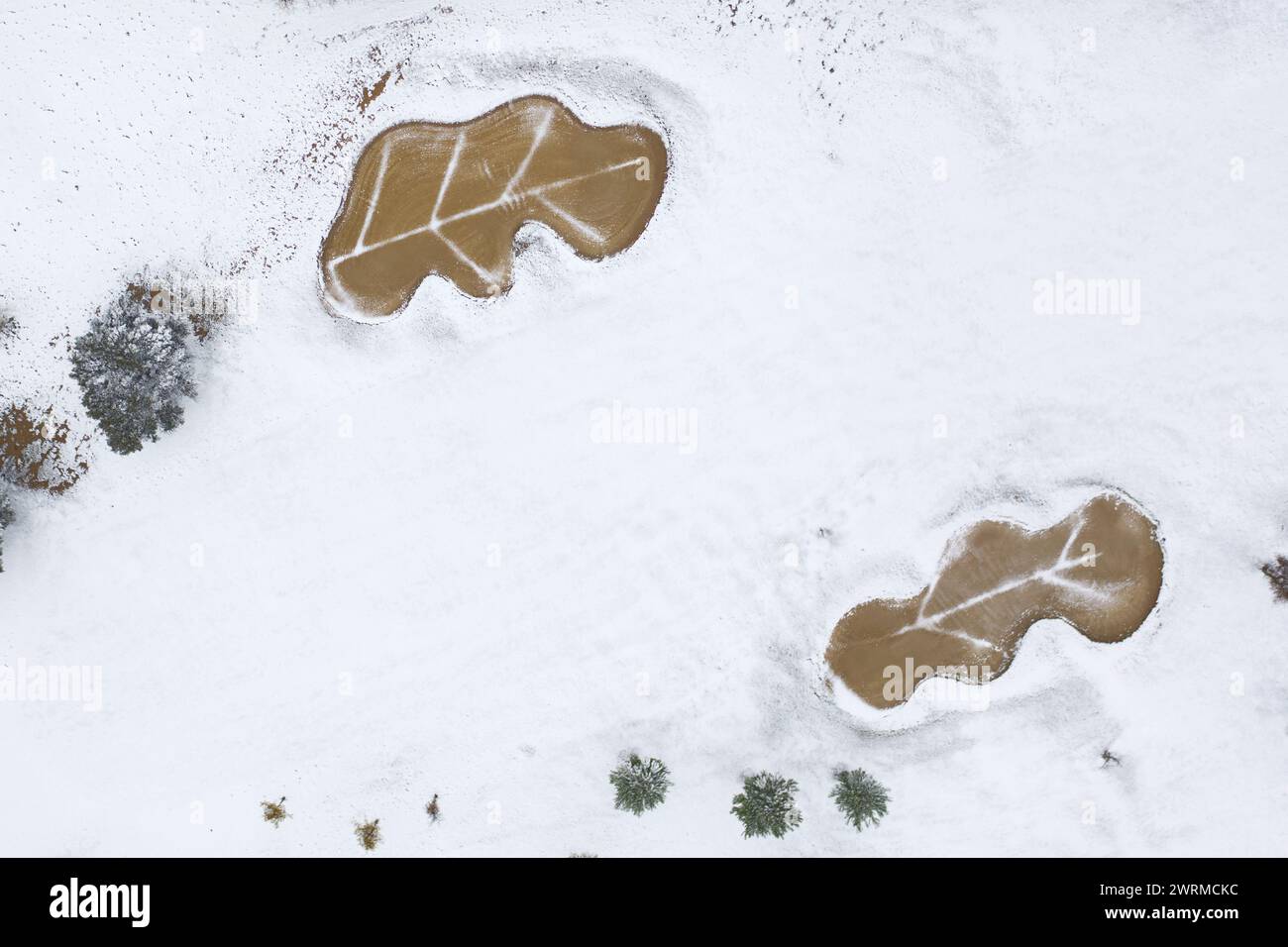 Aerial view of two oak leaf-shaped ponds amidst a snow-draped landscape ...