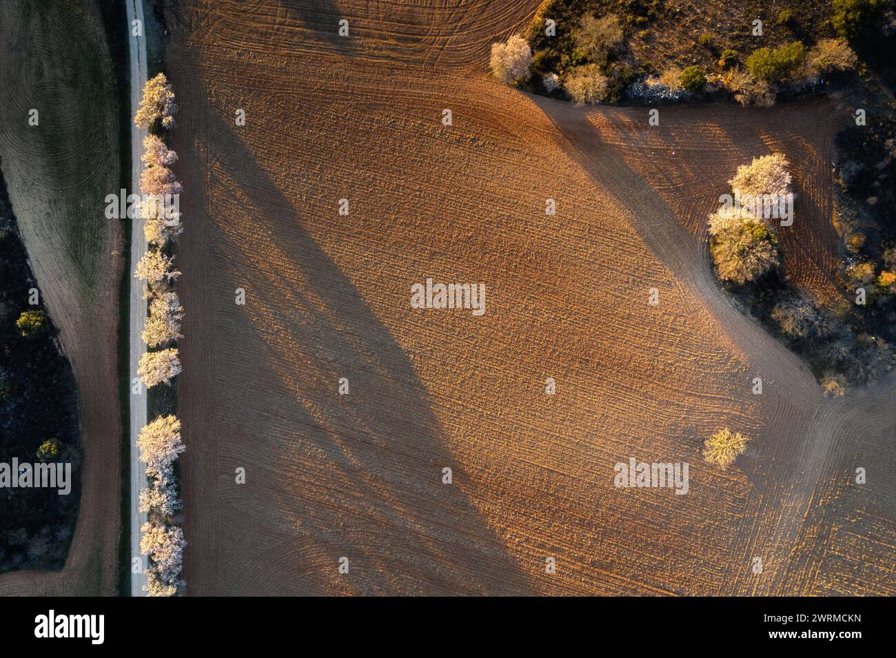 An aerial shot captures the textured patterns of plowed fields with ...