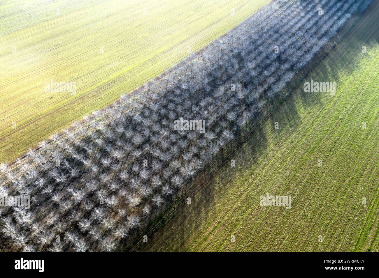 Image features agricultural scene hi-res stock photography and images ...