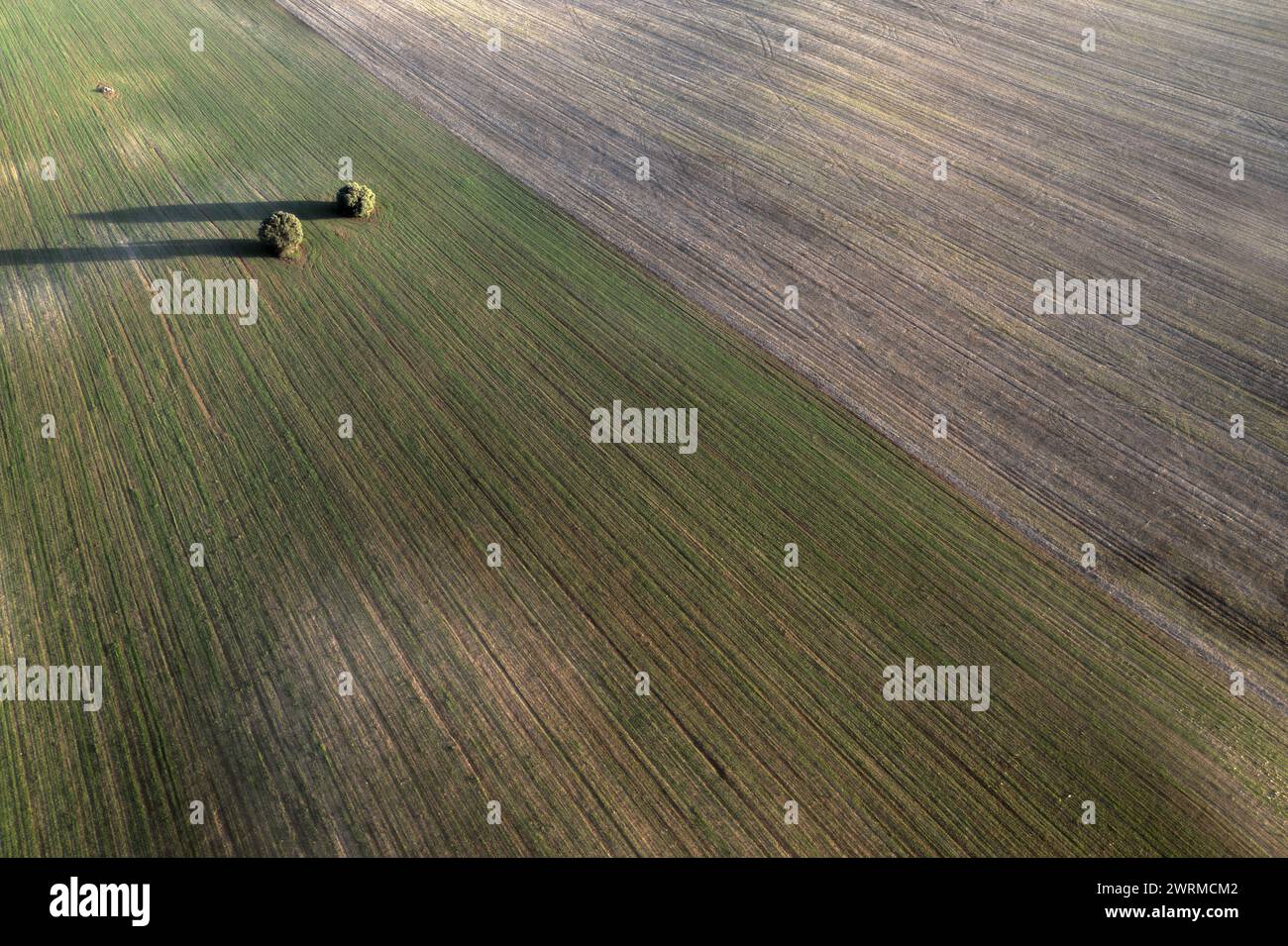 An aerial shot captures the textured patterns of a farm field at sunset ...