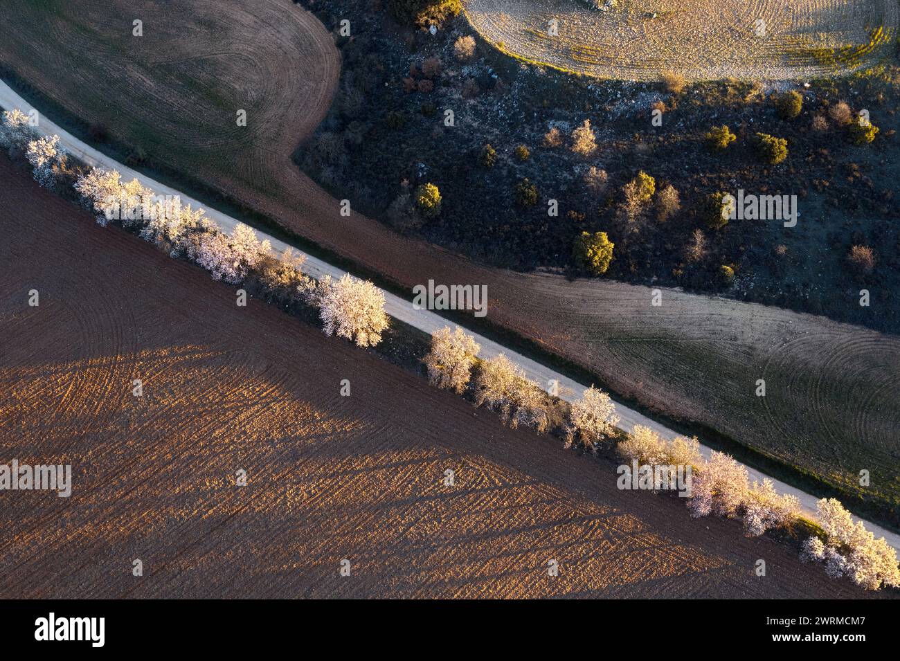 Bisecting line hi-res stock photography and images - Alamy