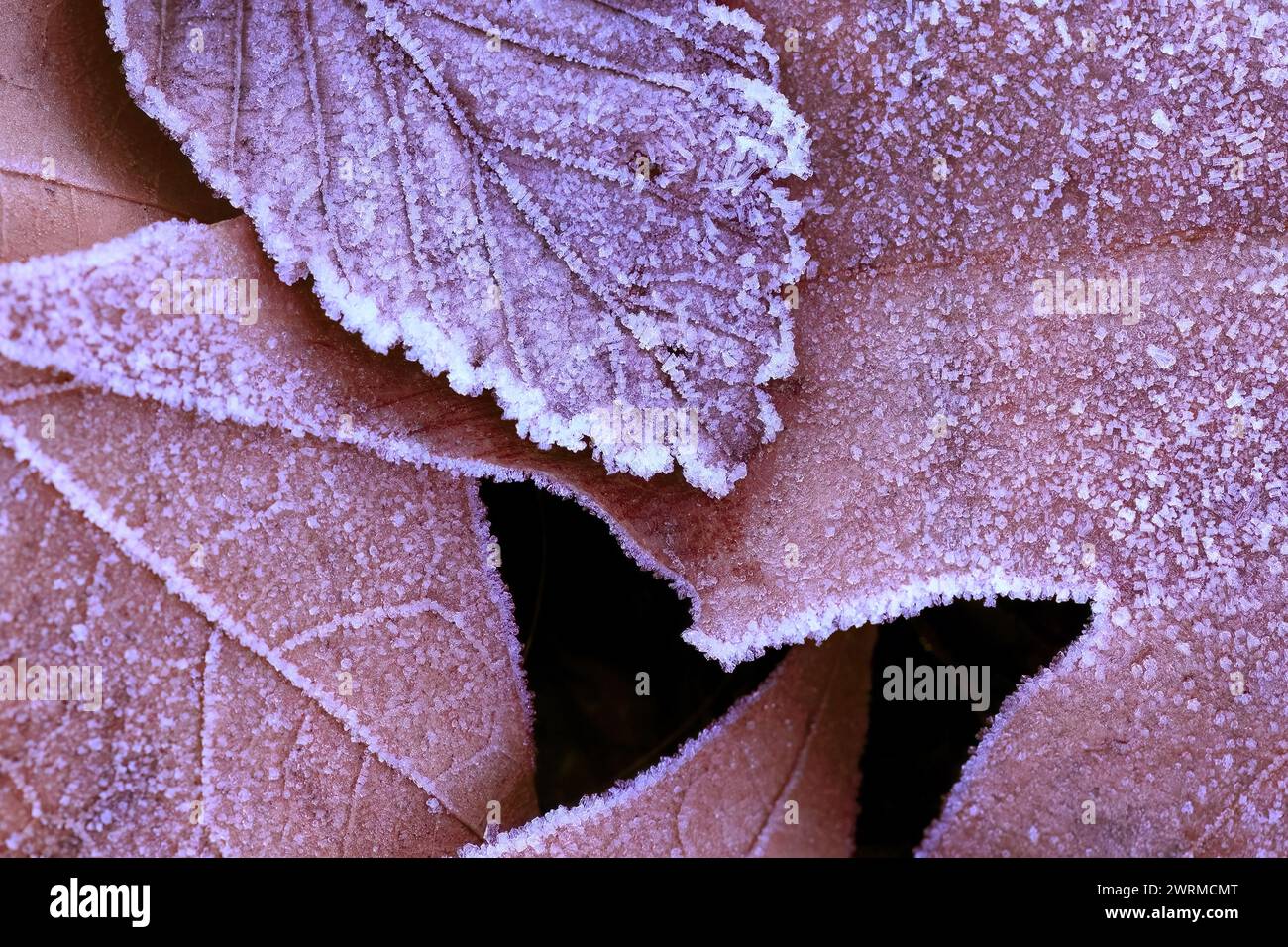 Dusted crystal texture hi-res stock photography and images - Alamy