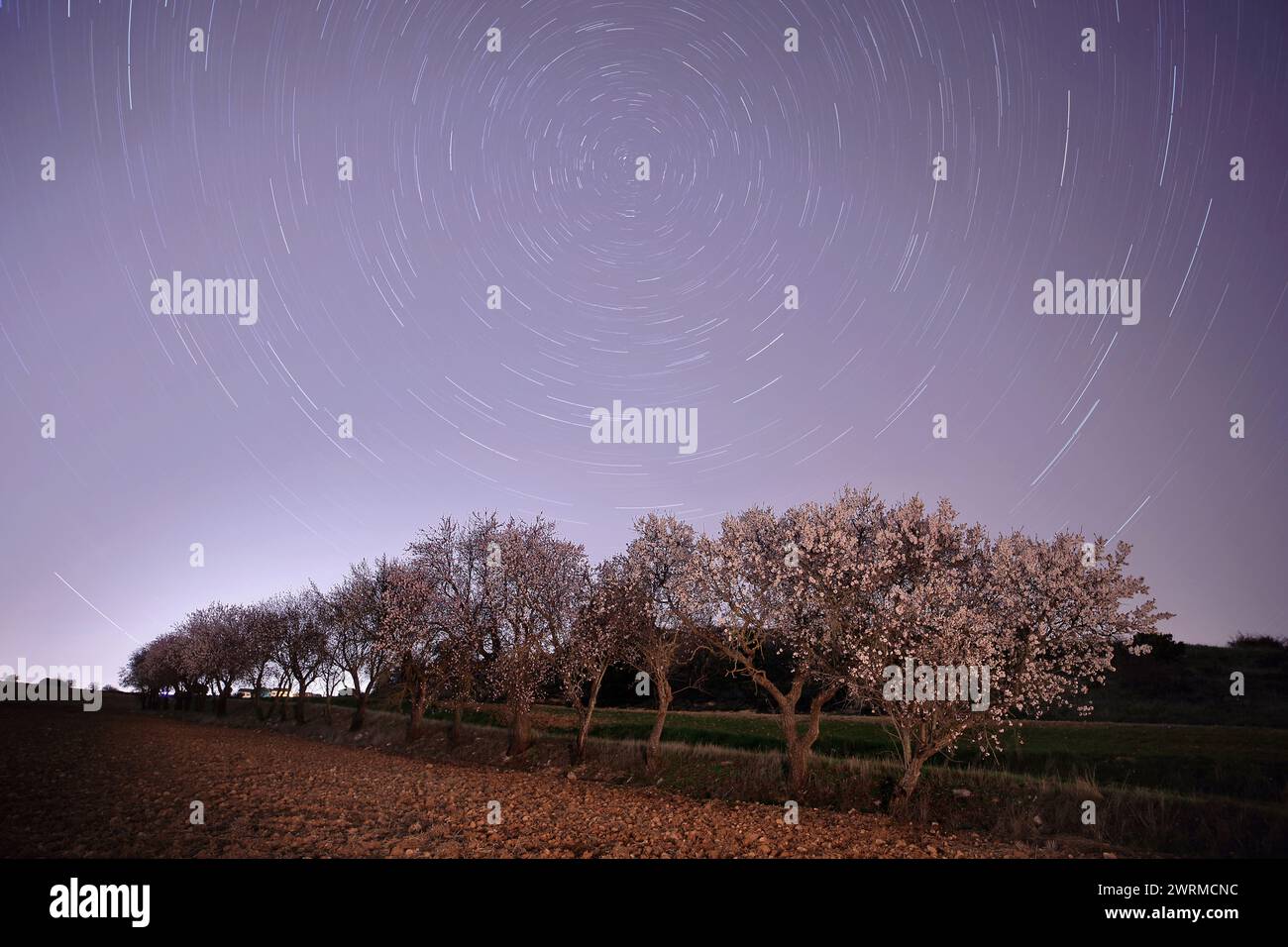 Long exposure photo capturing the circular trails of stars in the night ...