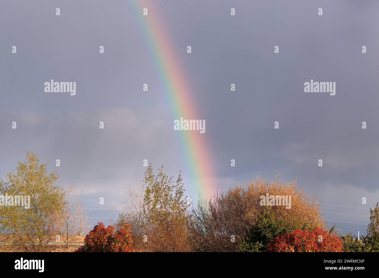 A vivid rainbow arches over lush greenery against a stormy sky after a ...