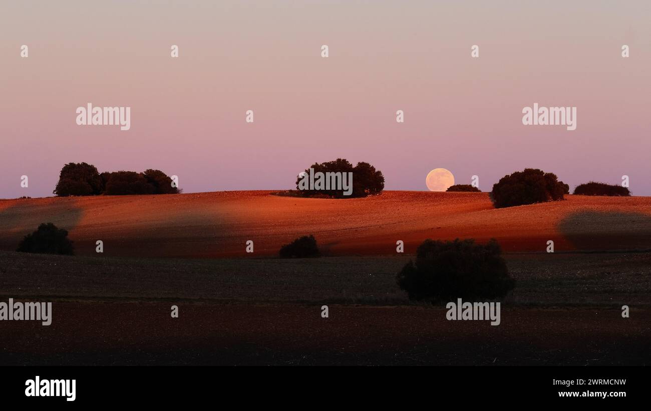 Full moon rising over a serene hillside, casting a gentle glow on the ...