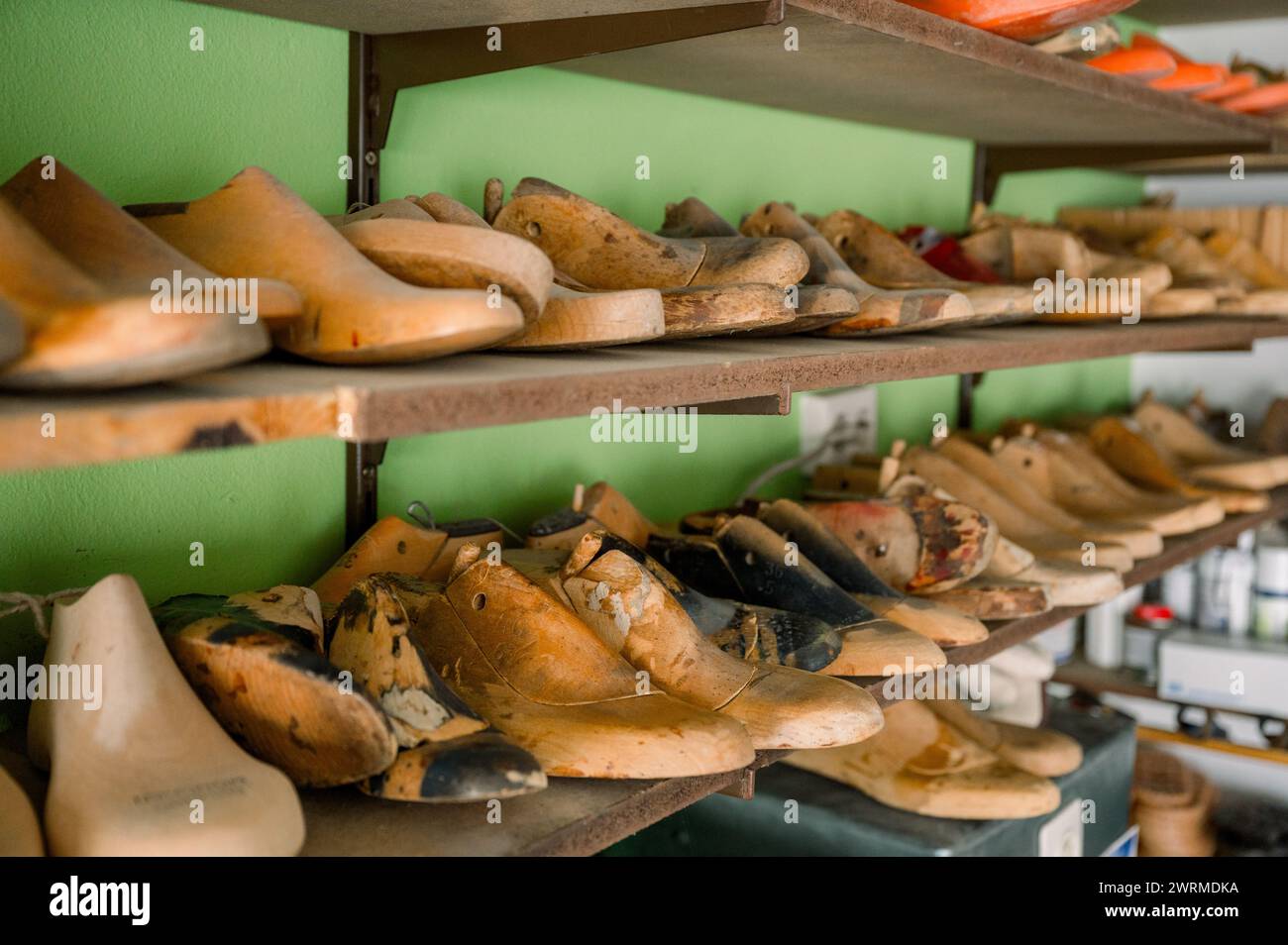 Wooden shoe lasts in various sizes and shapes line the shelves of a ...