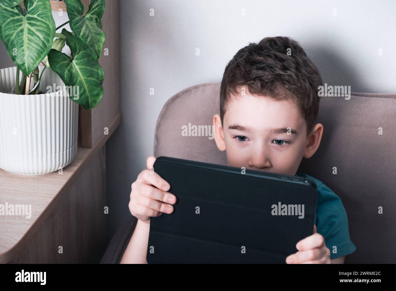 Child touch indoor plant hi-res stock photography and images - Alamy