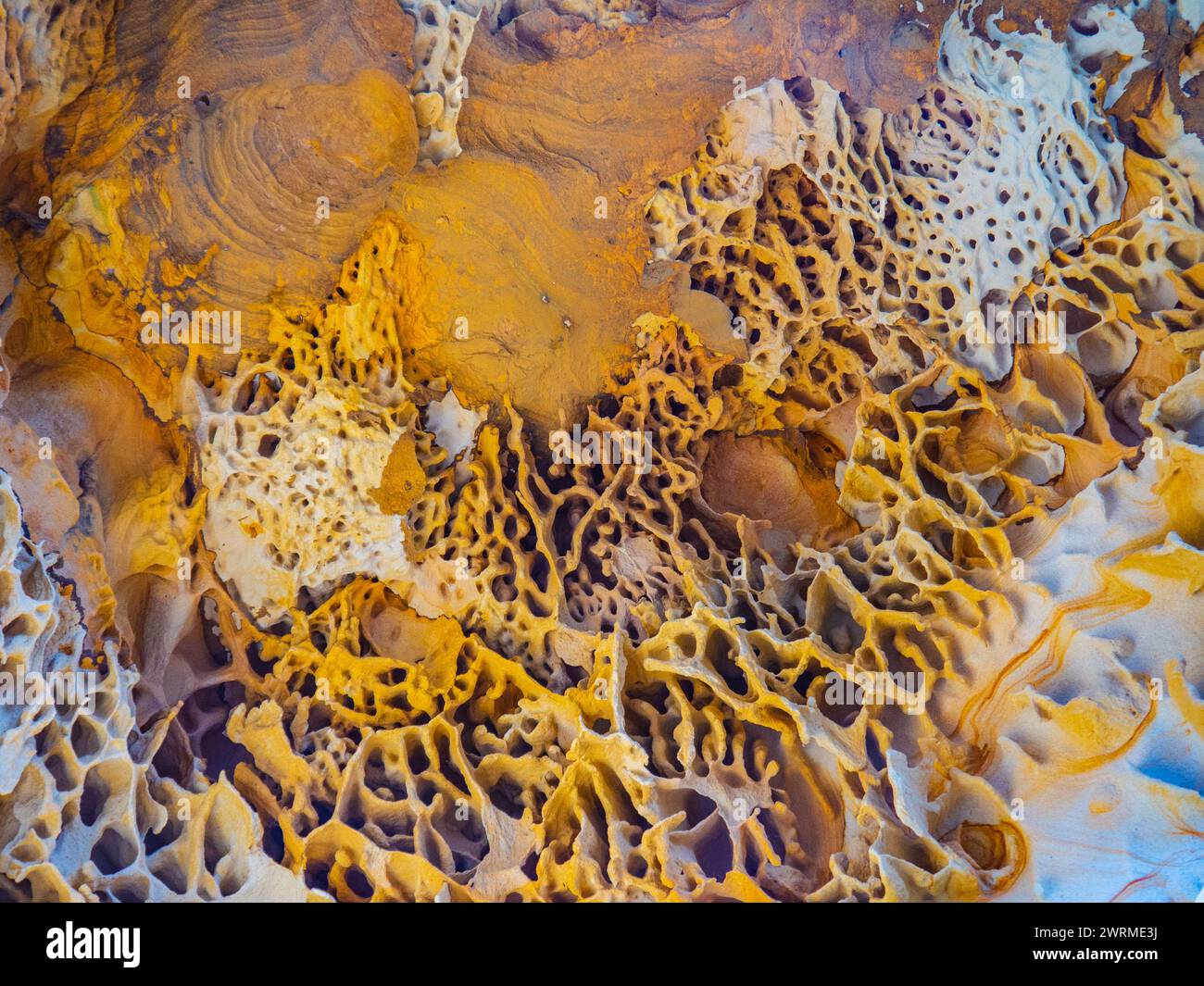A close-up view showcases the vibrant, naturally sculpted textures of ...