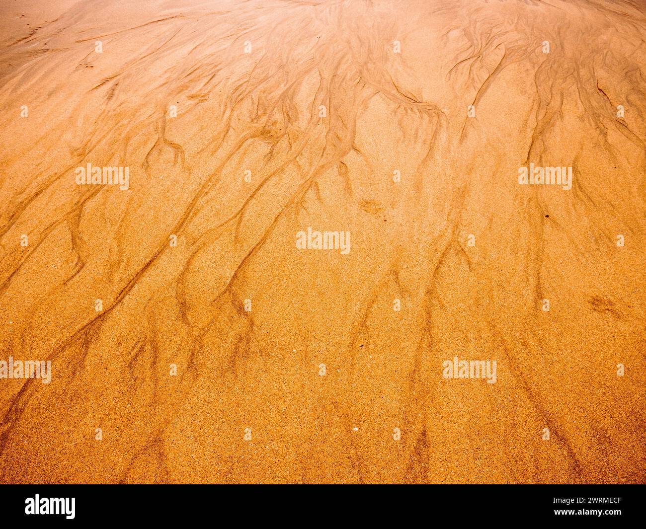 Intricate lines depict hi-res stock photography and images - Alamy