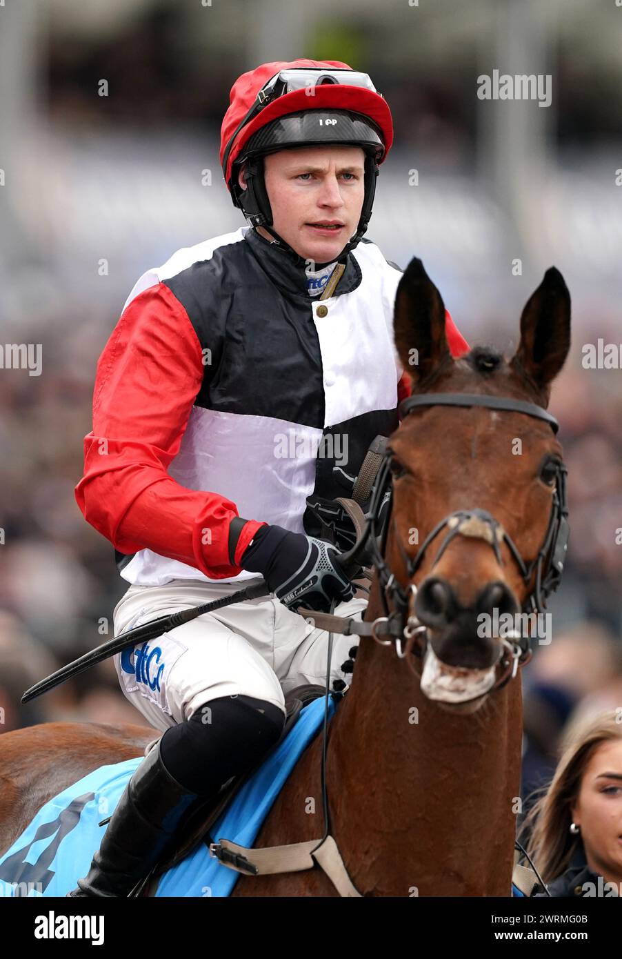 Jimmy du seuil horse hi-res stock photography and images - Alamy