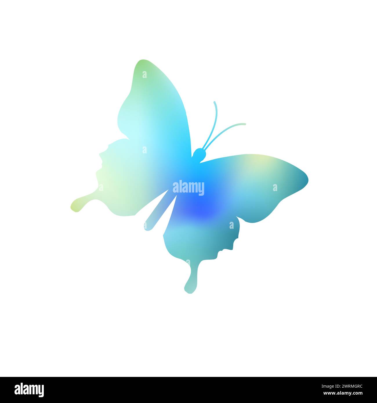 Business card butterfly on Stock Vector Images - Alamy