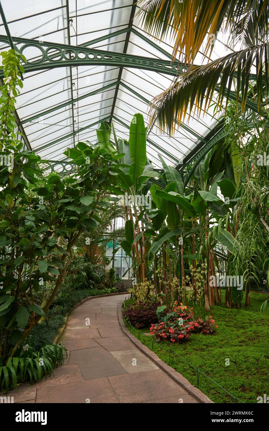 Amazonian Ecosystem Enchantment: Nature's Wonders in the Botanical ...