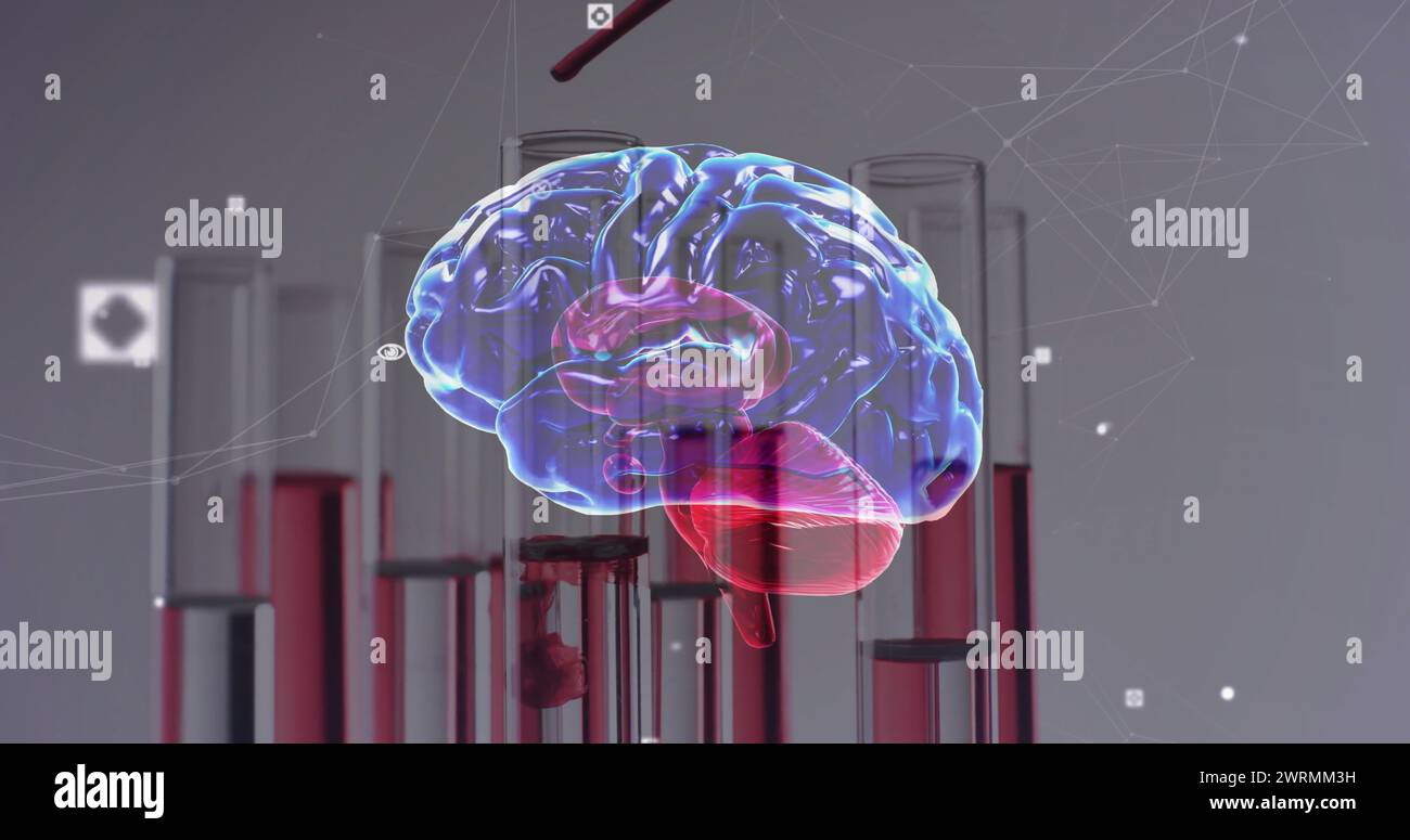 Image of human brain over laboratory dishes on grey background Stock ...