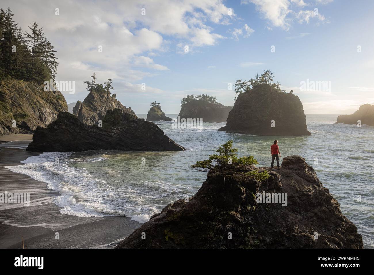 Enjoying the view of the rocky shore line and sea stacks of this ...