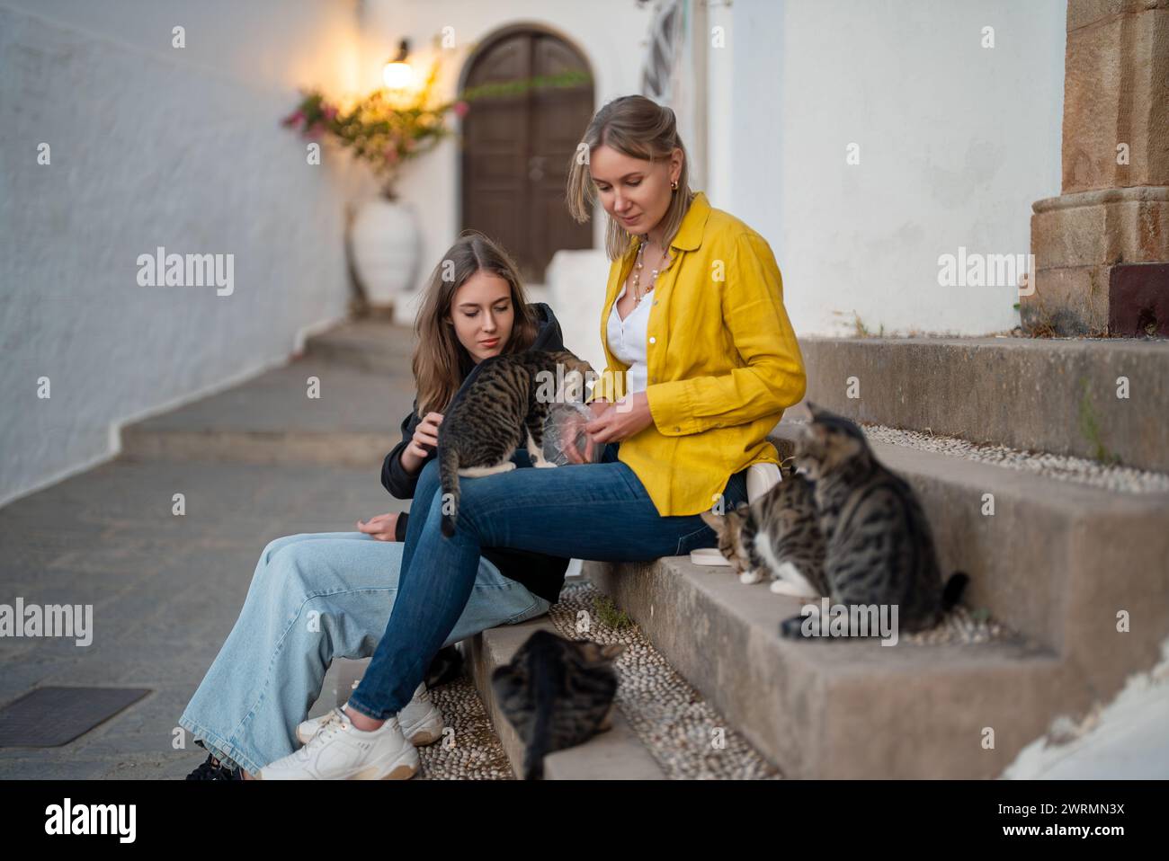 Two girls feed cats on the street Stock Photo - Alamy