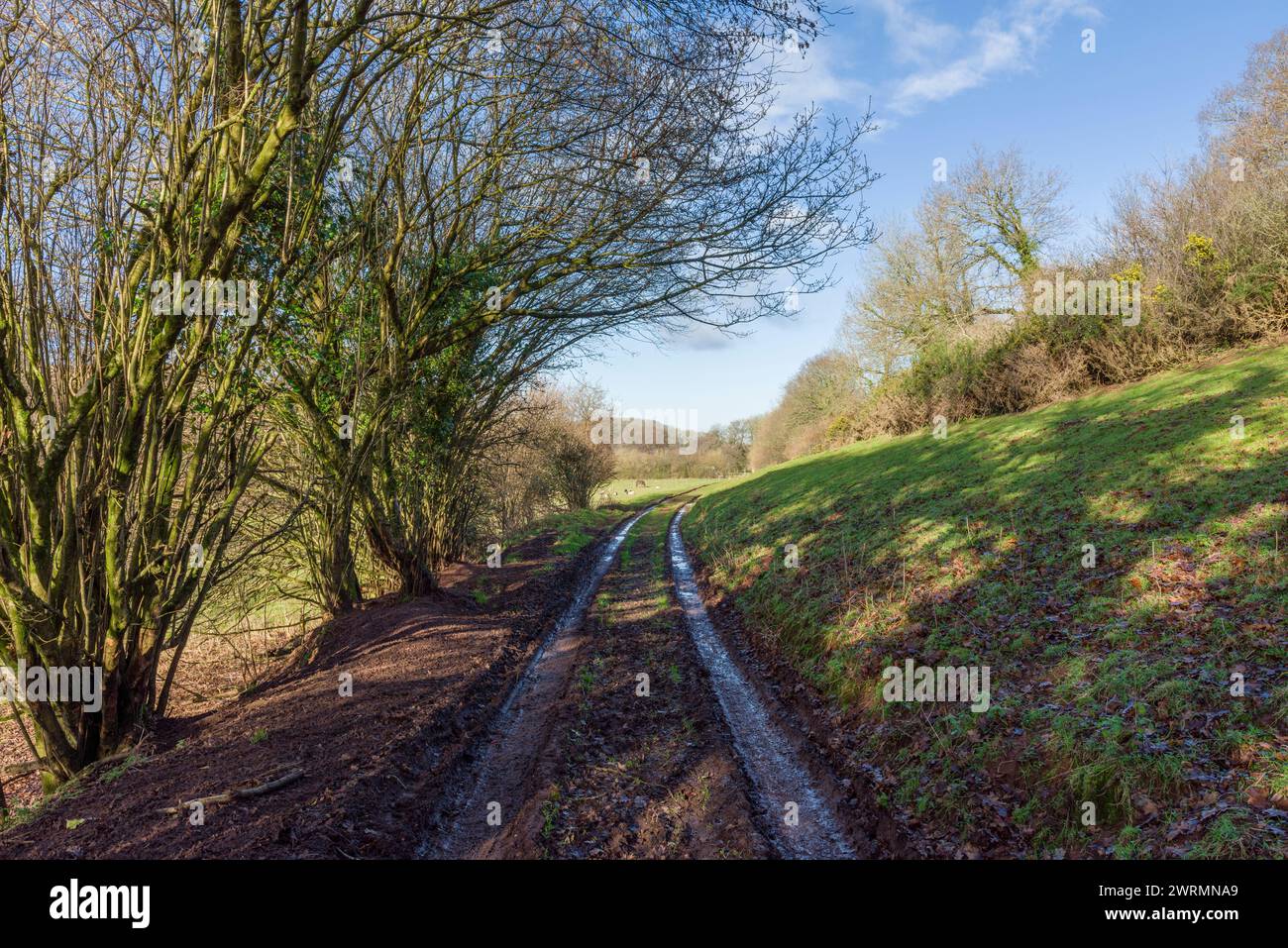 The footpath along the West Somerset Railway in the valley of the ...