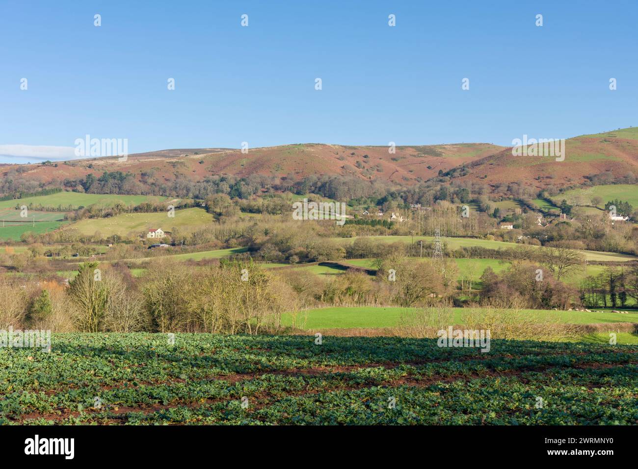 Lower vellow hi-res stock photography and images - Alamy