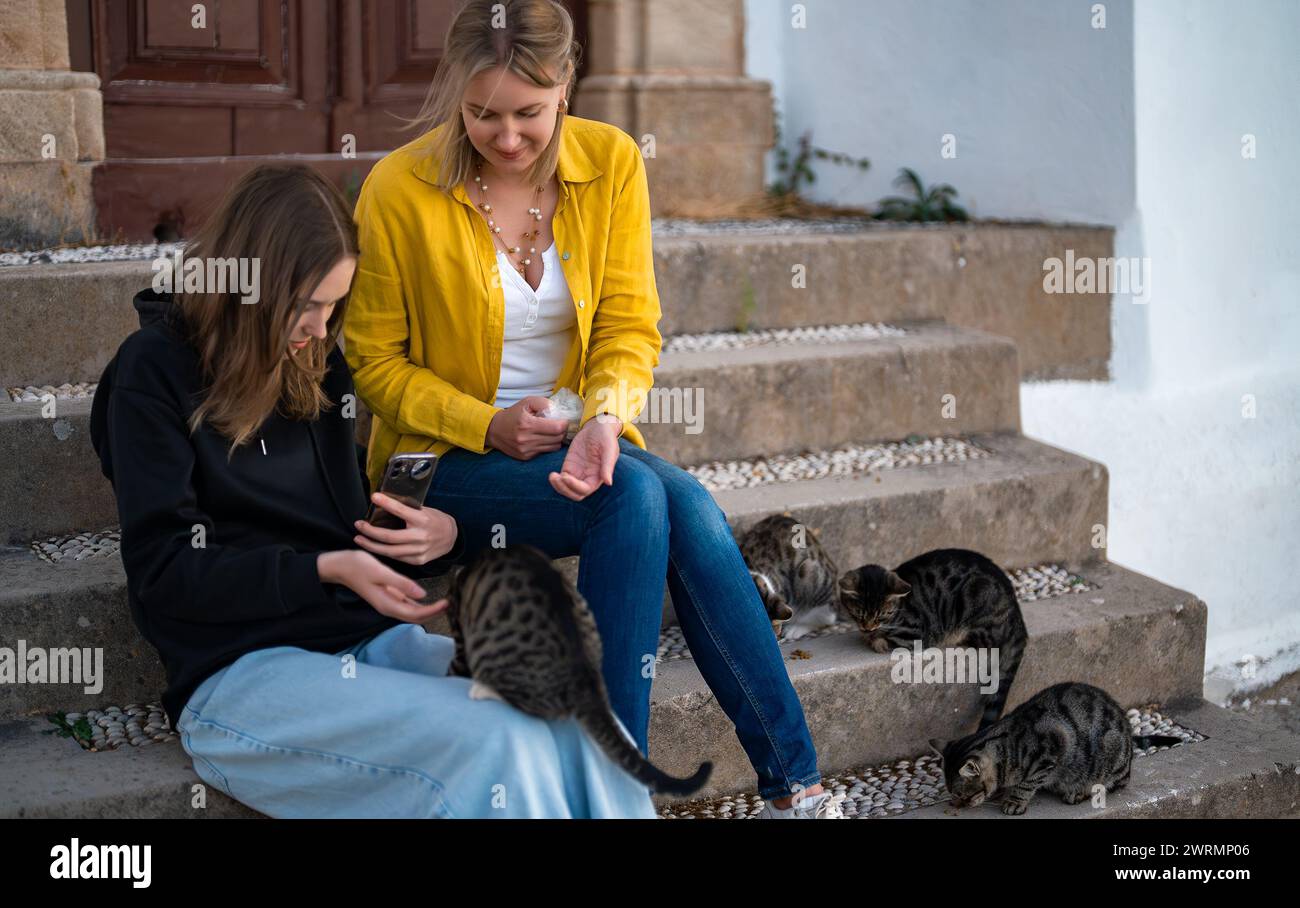 Two girls feed cats on the street Stock Photo - Alamy