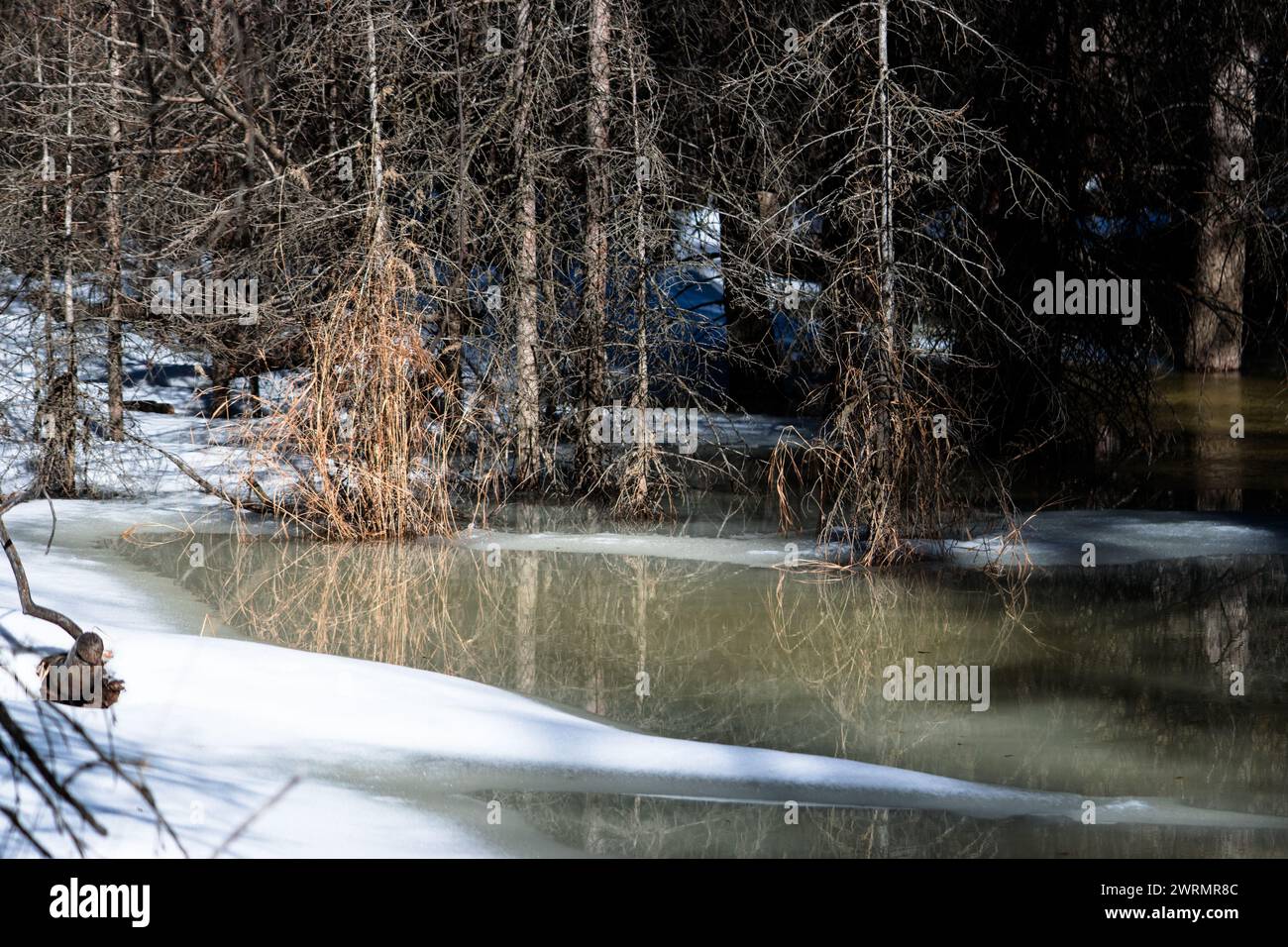 Melt in hi-res stock photography and images - Alamy