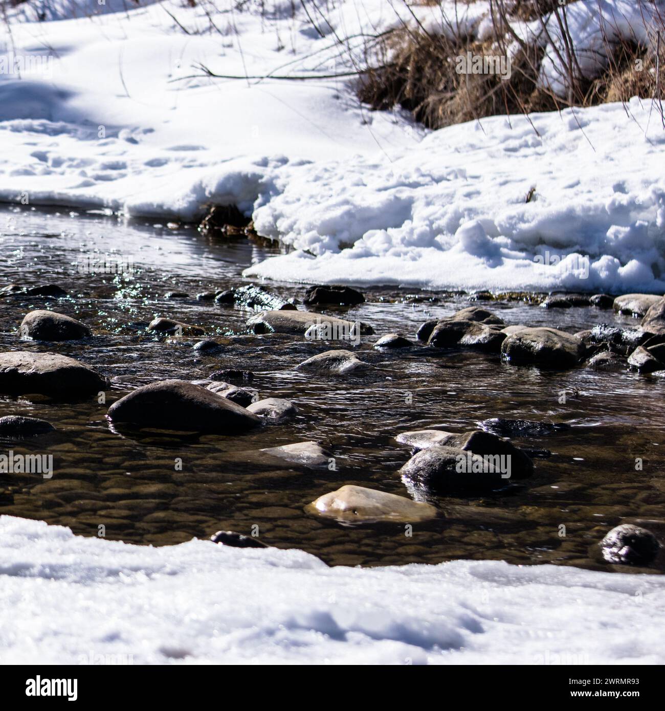 Snowfall in spring photo hi-res stock photography and images - Alamy