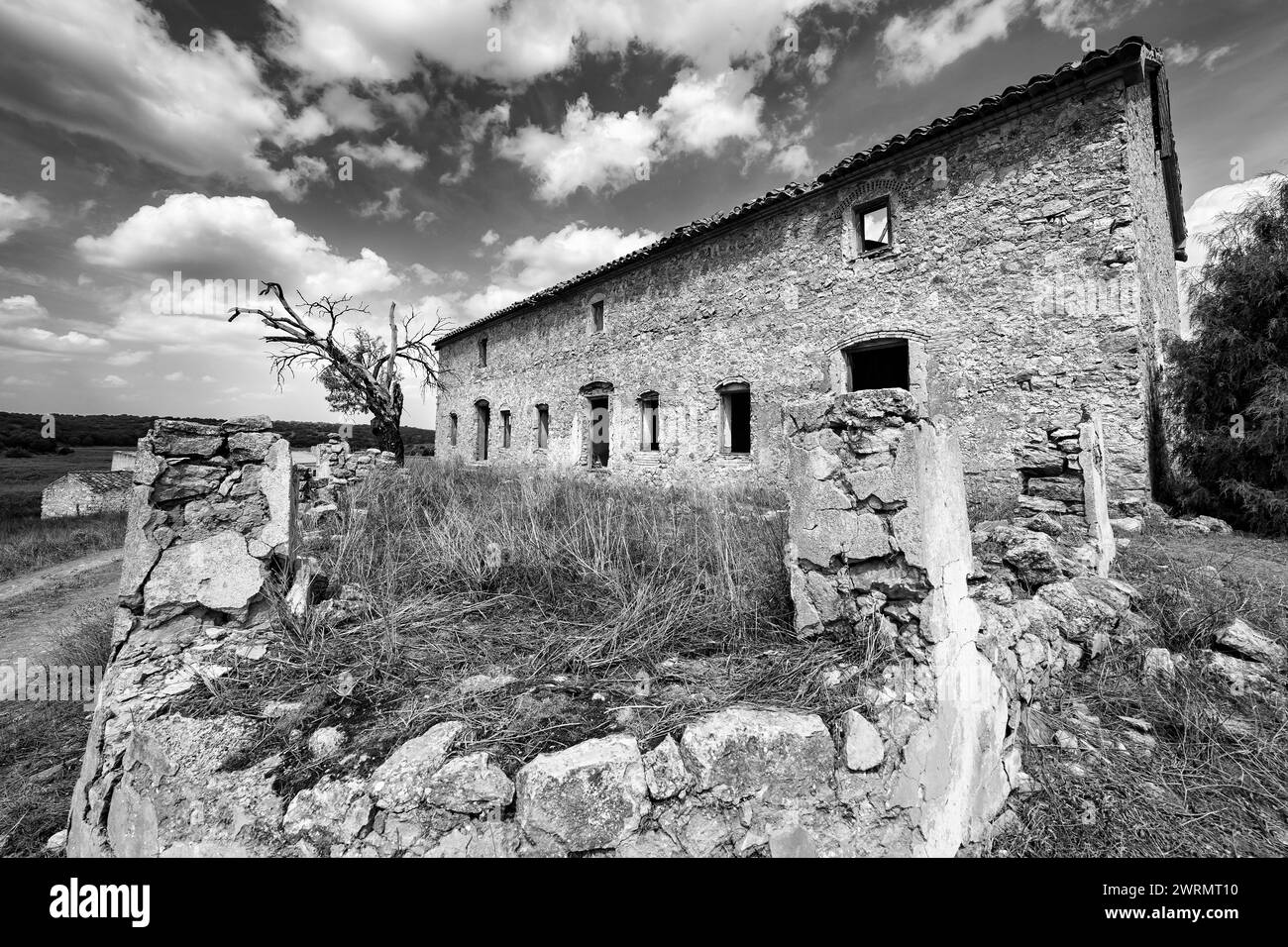Almond tree with abandoned house in Ruidera Stock Photo - Alamy