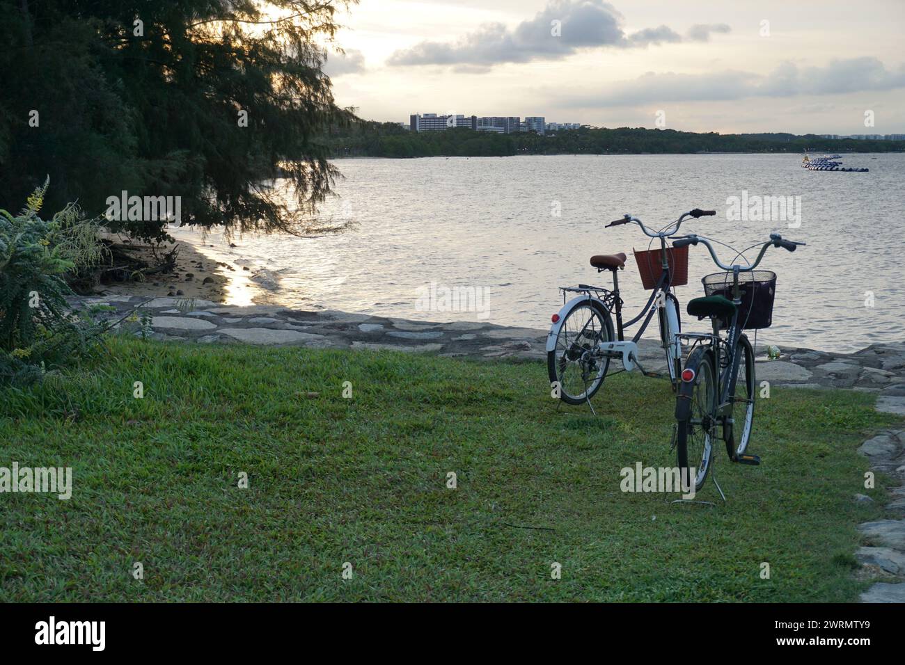 Sunset at Pasir Ris Park in Pasir Ris, Singapore Stock Photo - Alamy