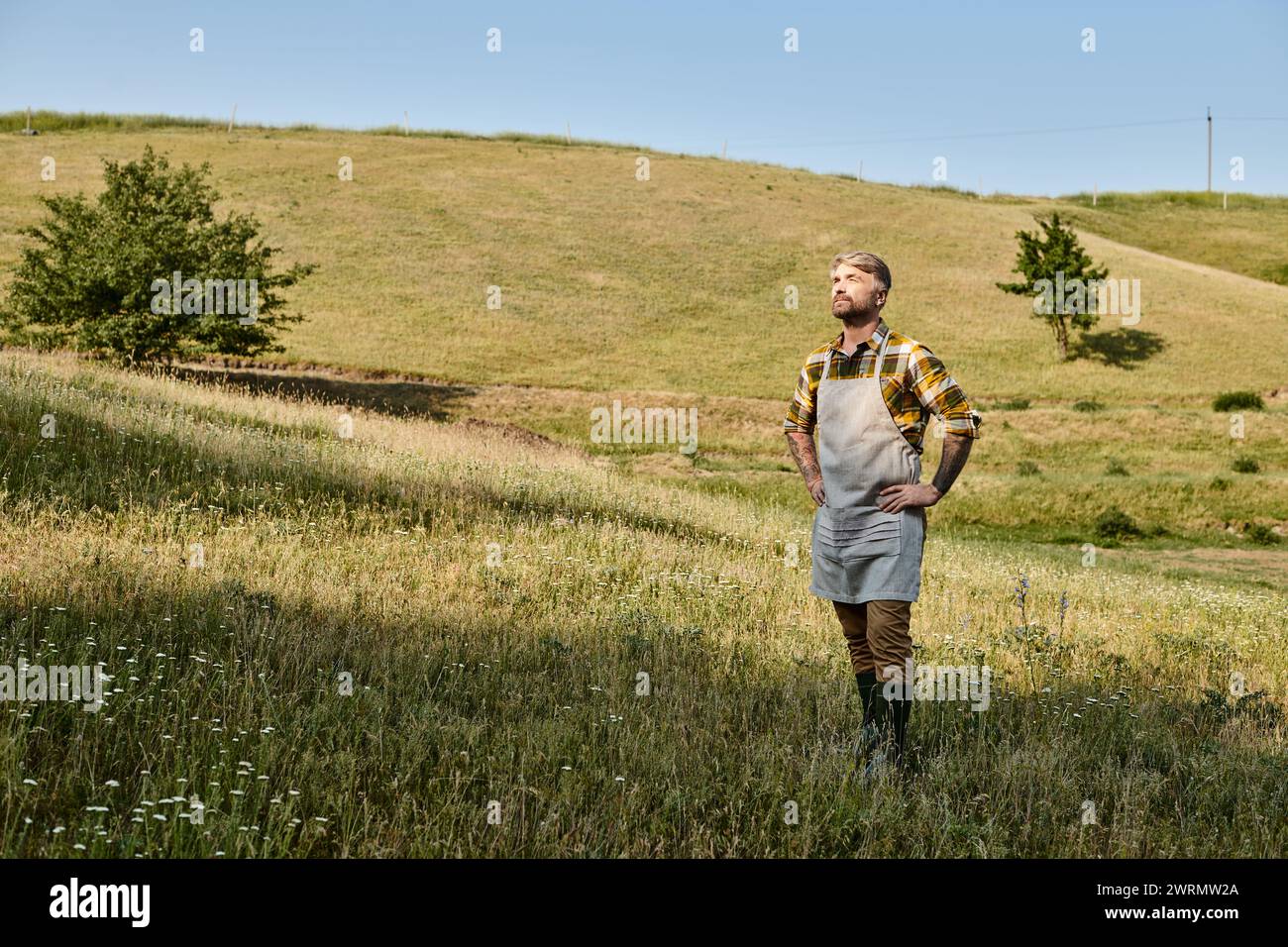 appealing dedicated modern farmer with tattoos and beard relaxing on ...