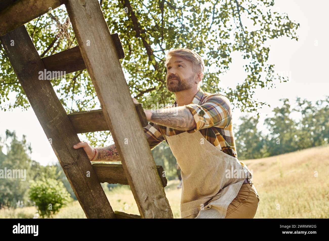 good looking bearded man with tattoos in casual attire climbing up ...