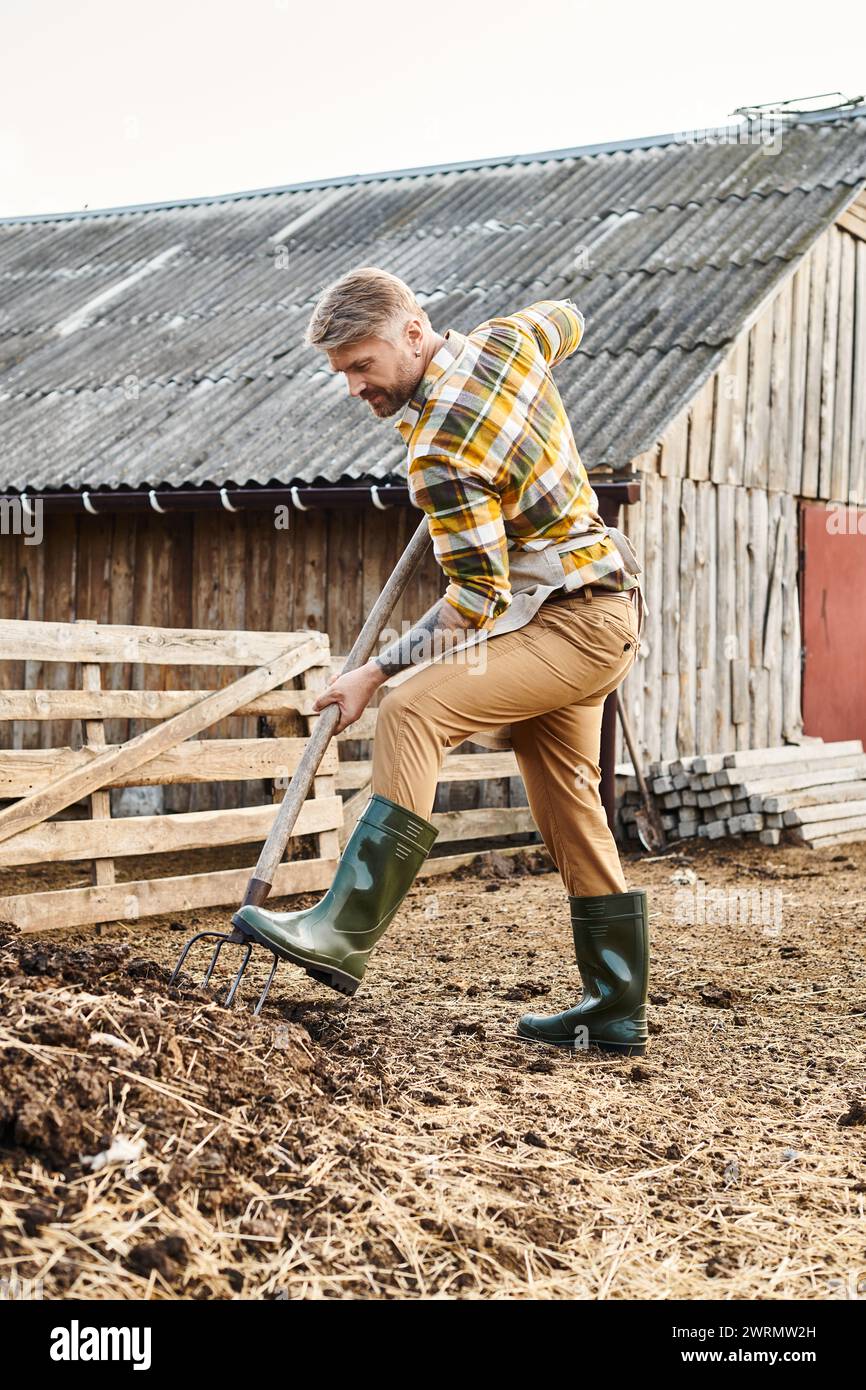 hard working attractive farmer with beard and tattoos using pitchfork ...