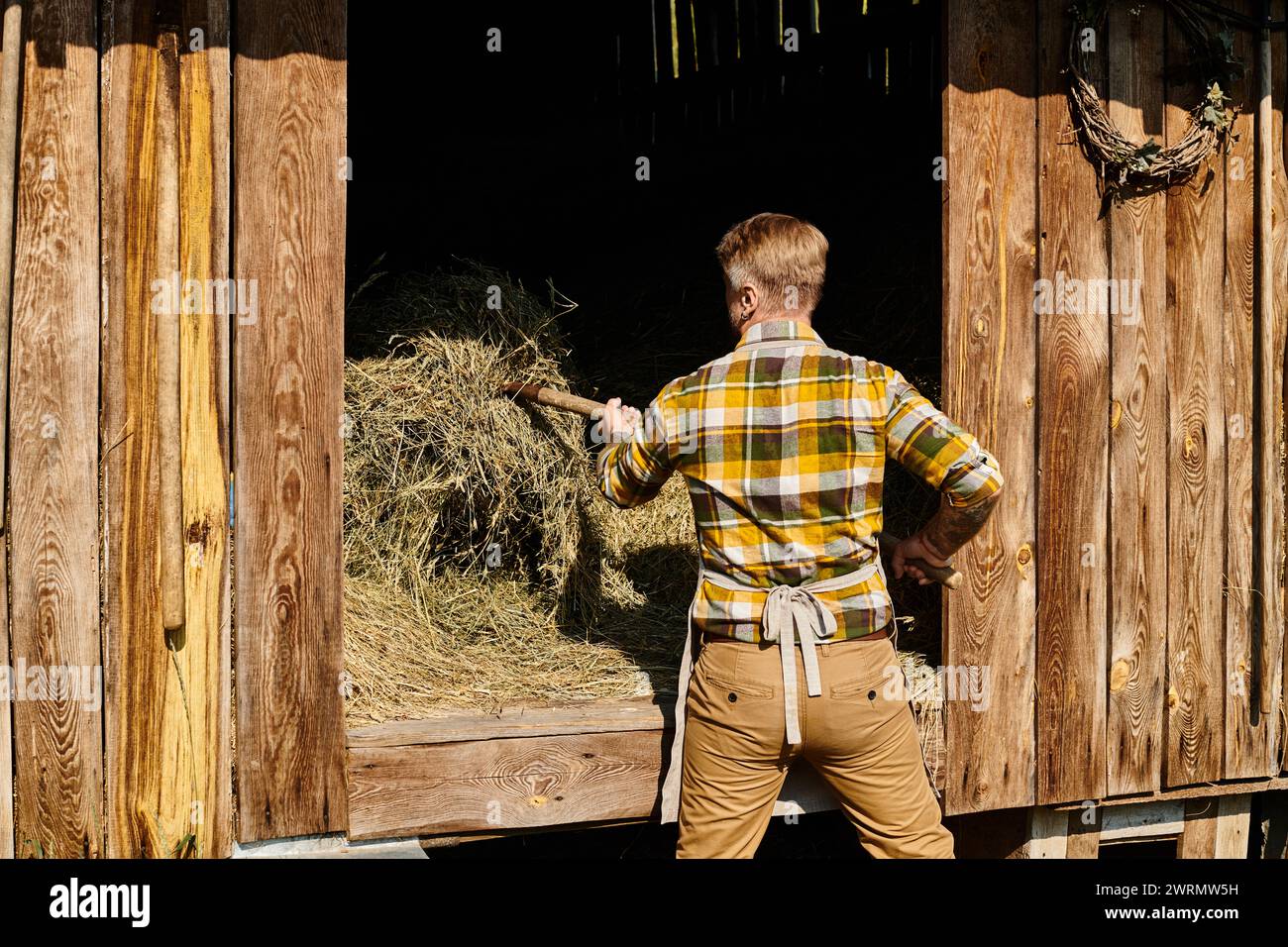 appealing dedicated farmer in casual attire using pitchfork while ...