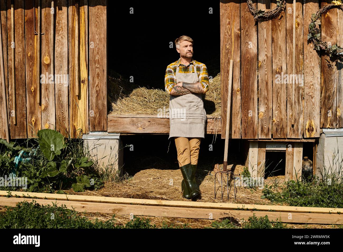 appealing dedicated farmer in casual attire using pitchfork while ...