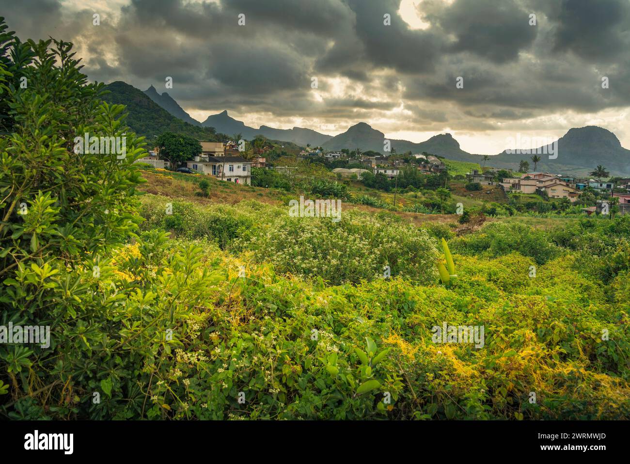 View of Pieter Both and Long Mountain, Nouvelle Decouverte, Mauritius, Indian Ocean, Africa ...