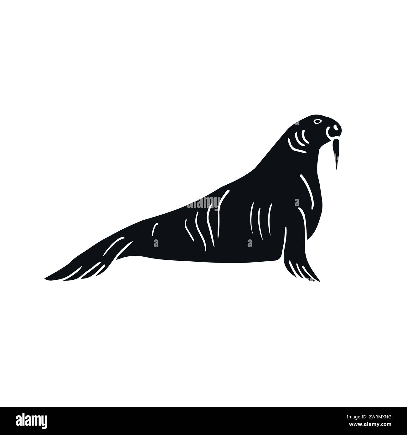 Vector hand drawn doodle sketch black walrus isolated on white background Stock Vector Image ...