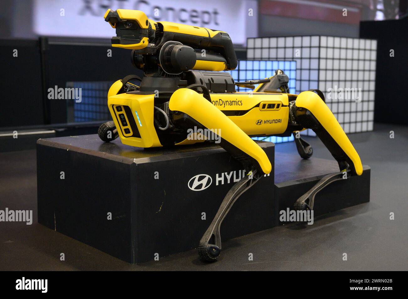 Toronto, ON, Canada - February 16, 2024: Robot Dog Boston Dynamics ...