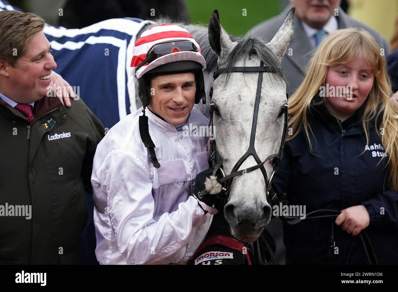 Unexpected party horse hi-res stock photography and images - Alamy