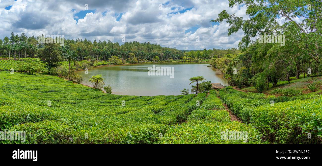 View of exterior of Bois Cheri Tea Estate, Savanne District, Mauritius ...
