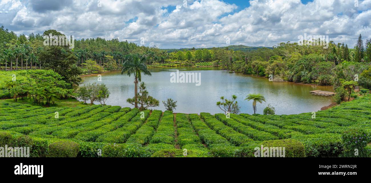 View of exterior of Bois Cheri Tea Estate, Savanne District, Mauritius ...