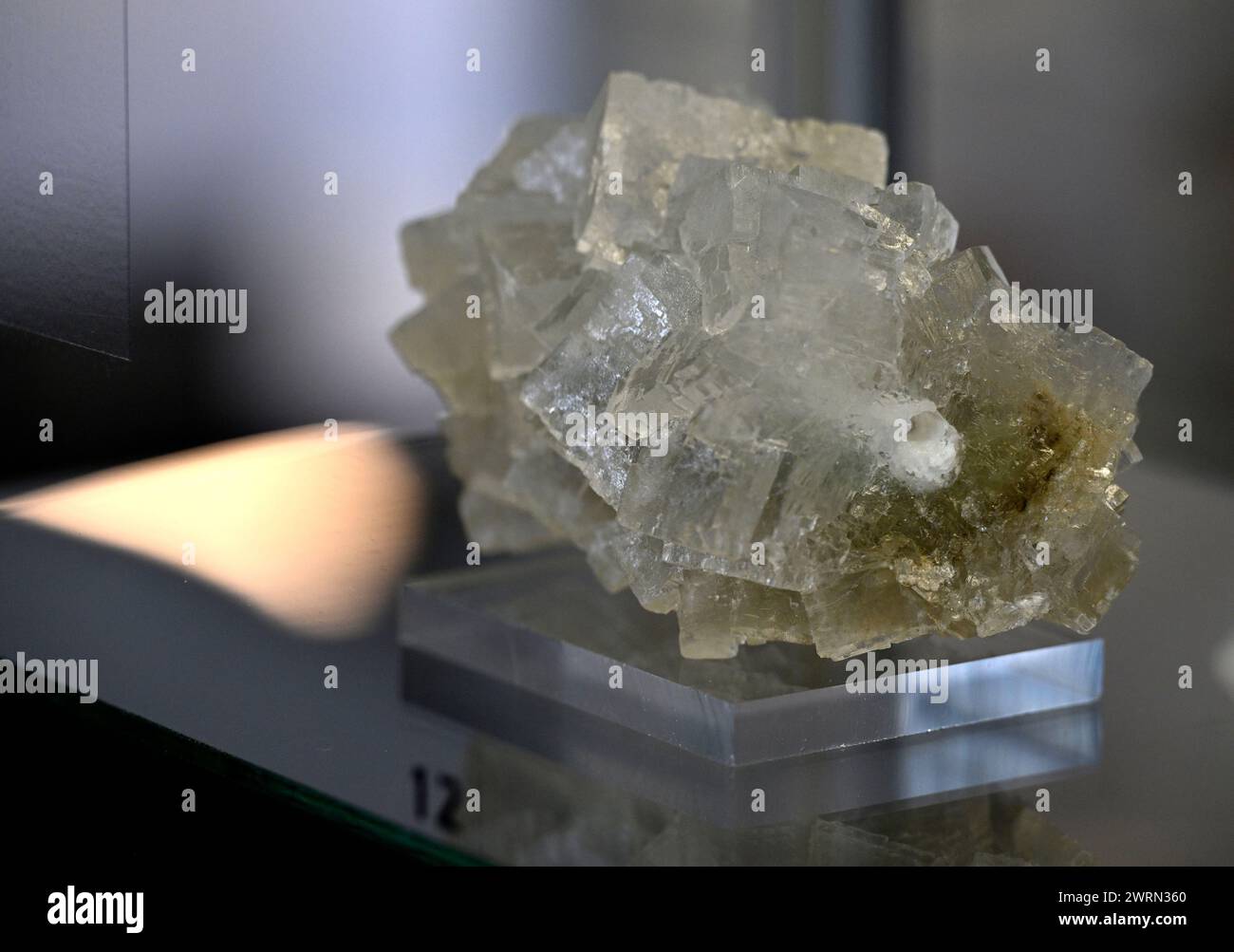 Slany, Czech Republic. 13th Mar, 2024. New salt exhibition called The ...