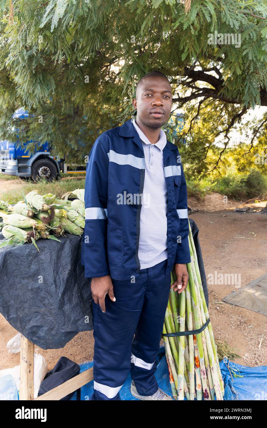 african street vendor selling corn and sweet reed , sugarcane on the ...