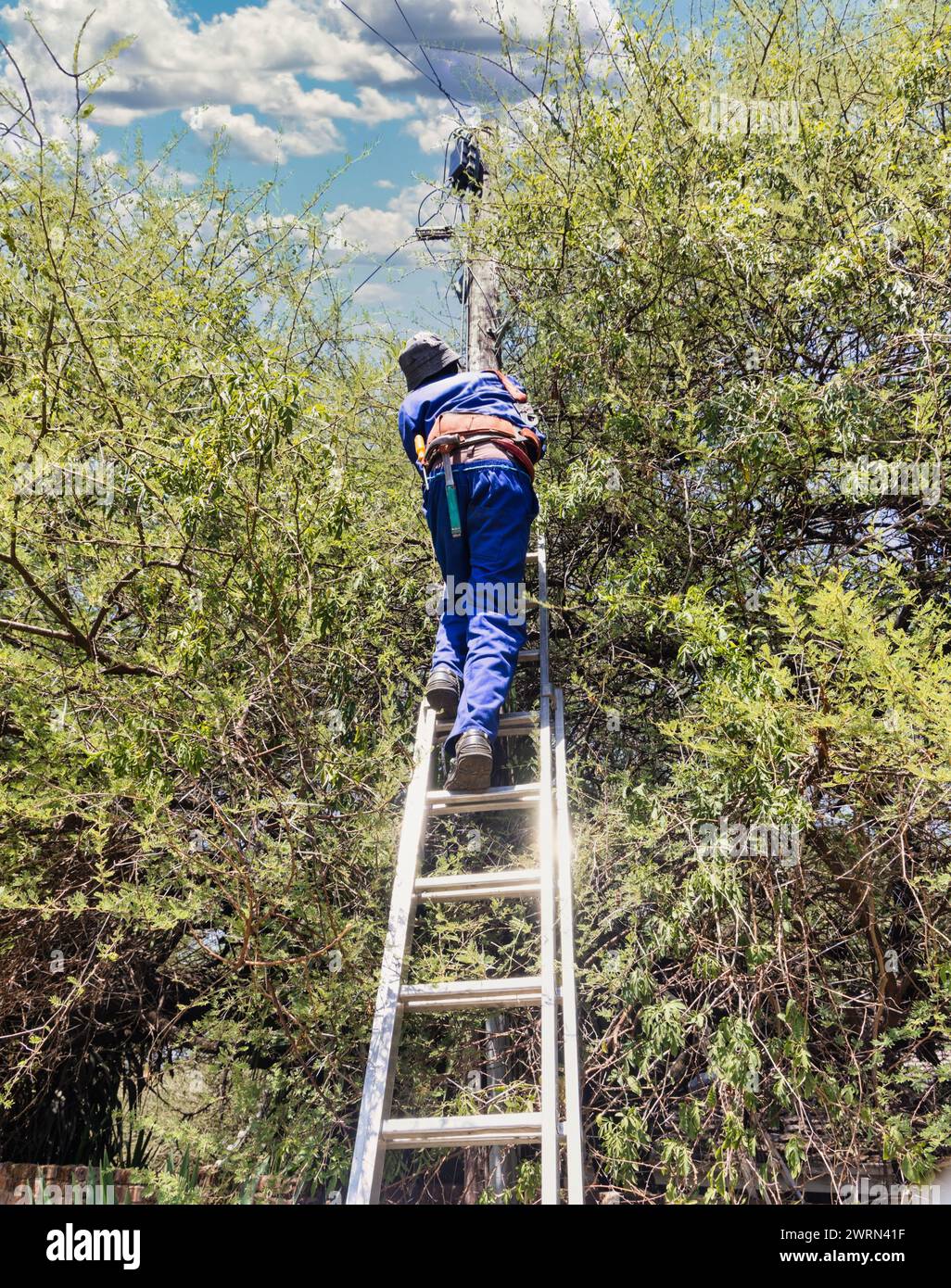 african man climbing a ladder on a wooden pole to fix the phone lines ...