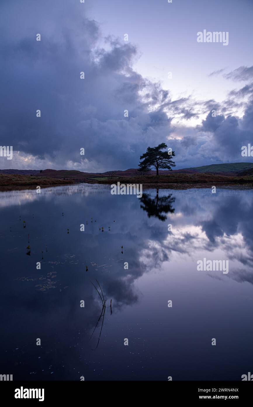 Kelly Hall Tarn at sunset, The Lake District Stock Photo - Alamy