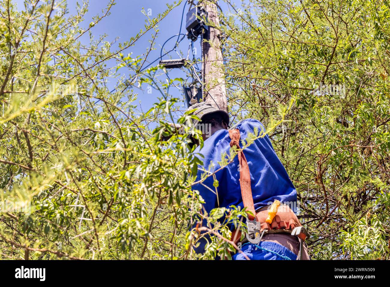 African ladder hi-res stock photography and images - Alamy