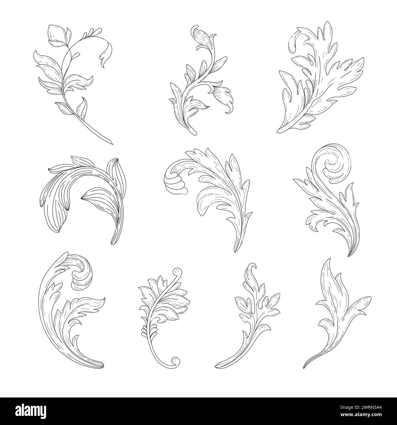 Retro flower pattern decorative design. Baroque scroll design element ...